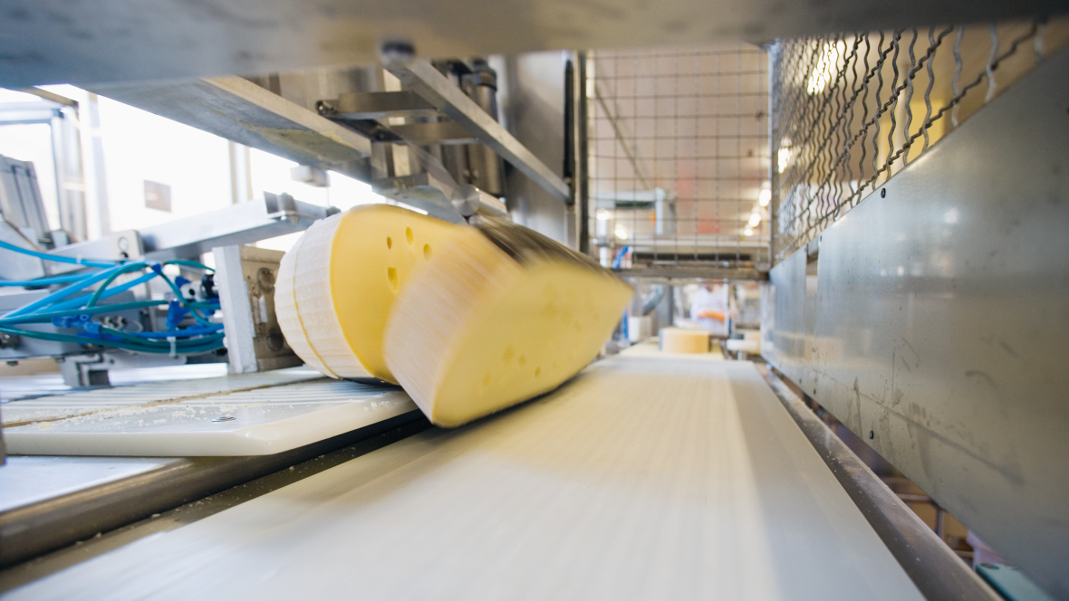 Milchindustrie – Forbo Siegling